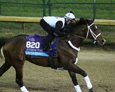 Uncle Benny - Horse Profile - BloodHorse