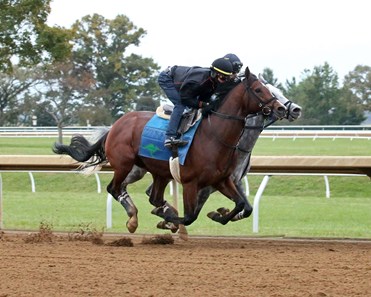 Oscar Performance - Horse Profile - BloodHorse