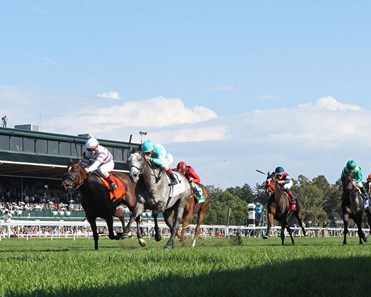 A Raving Beauty (GER) - Horse Profile - BloodHorse