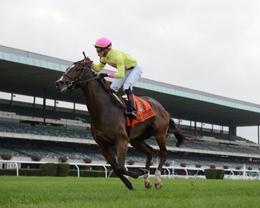 Fourstar Crook - Horse Profile - BloodHorse