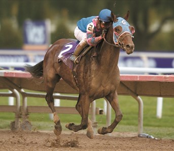 Volponi - Horse Profile - BloodHorse