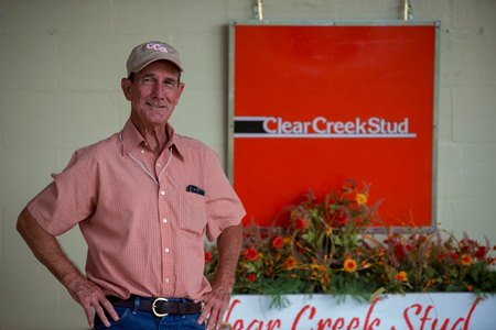 Louisiana's Clear Creek Stud Offers $5K Scholarship - BloodHorse