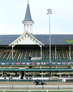 Sippican Harbor - Horse Profile - BloodHorse