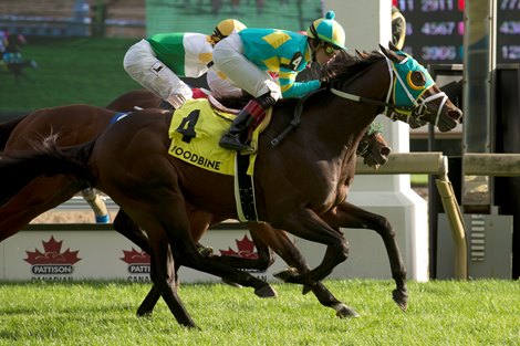 Hembree Up in Time in Nearctic Stakes - BloodHorse