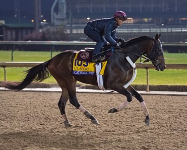 Catholic Boy - Horse Profile - BloodHorse