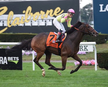 Fourstar Crook - Horse Profile - BloodHorse