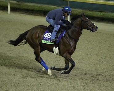 Oscar Performance - Horse Profile - BloodHorse