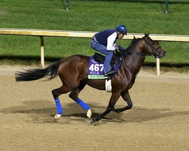 Oscar Performance - Horse Profile - BloodHorse