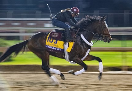 Catholic Boy - Horse Profile - BloodHorse