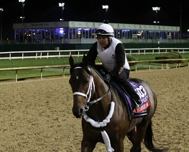 Oscar Performance - Horse Profile - BloodHorse