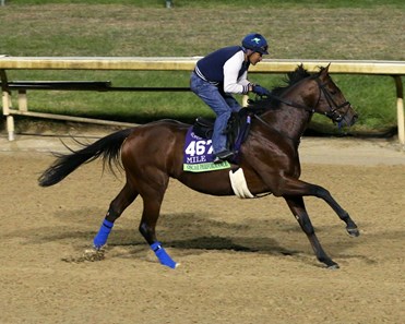 Oscar Performance - Horse Profile - BloodHorse