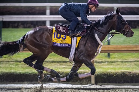 Catholic Boy - Horse Profile - BloodHorse