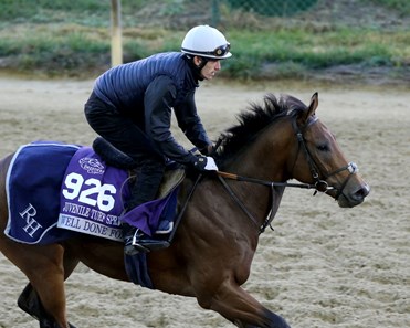 Well Done Fox (GB) - Horse Profile - BloodHorse