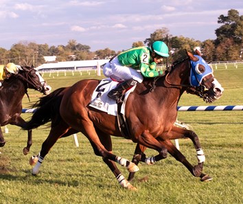 Talk Show Man - Horse Profile - BloodHorse