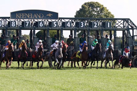 A Raving Beauty (GER) - Horse Profile - BloodHorse