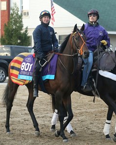 Arthur Kitt (GB) - Horse Profile - BloodHorse