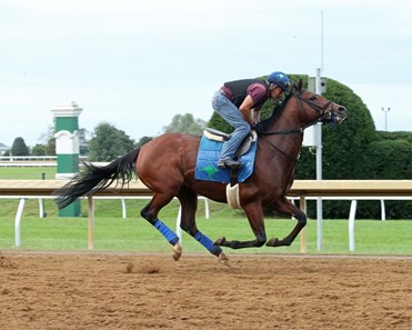 Oscar Performance - Horse Profile - BloodHorse