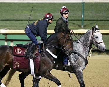 Catholic Boy - Horse Profile - BloodHorse
