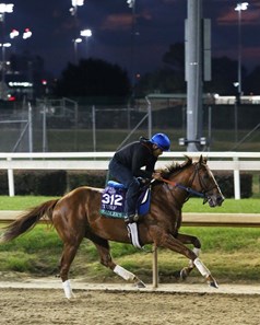 Sadler's Joy - Horse Profile - BloodHorse