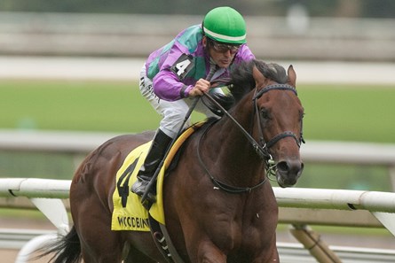 Avie's Flatter - Horse Profile - BloodHorse