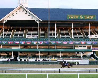 Well Done Fox (GB) - Horse Profile - BloodHorse