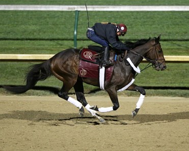 Catholic Boy - Horse Profile - BloodHorse