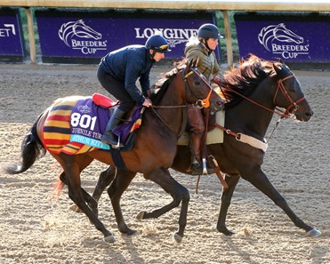 Arthur Kitt (GB) - Horse Profile - BloodHorse