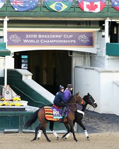 Arthur Kitt (GB) - Horse Profile - BloodHorse