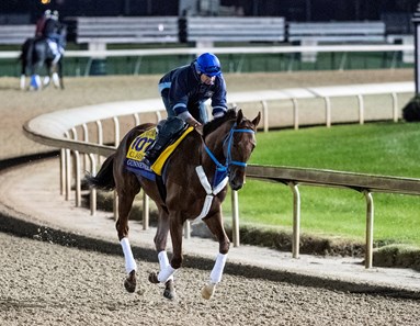 Gunnevera - Horse Profile - BloodHorse