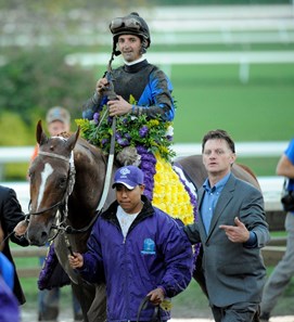 Curlin - Horse Profile - BloodHorse