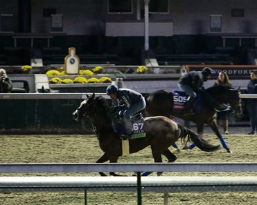 Oscar Performance - Horse Profile - BloodHorse