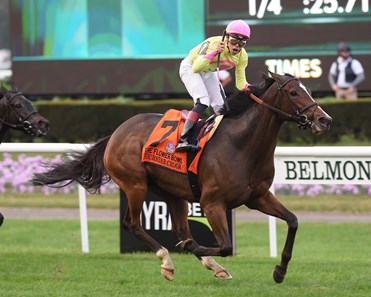 Fourstar Crook - Horse Profile - BloodHorse