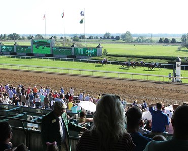 A Raving Beauty (GER) - Horse Profile - BloodHorse