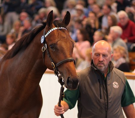 Record Purchase Darain Registers First Win in U.S. - BloodHorse