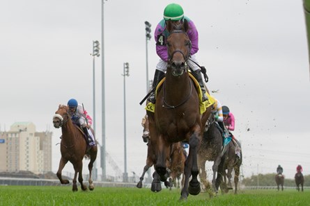 Avie's Flatter - Horse Profile - BloodHorse