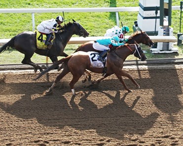 Promises Fulfilled - Horse Profile - BloodHorse