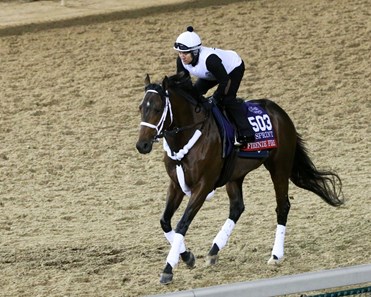 Oscar Performance - Horse Profile - BloodHorse
