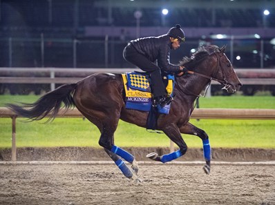 McKinzie - Horse Profile - BloodHorse
