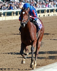 Bell's the One - Horse Profile - BloodHorse