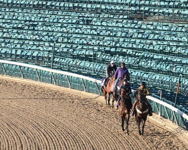 Arthur Kitt (GB) - Horse Profile - BloodHorse