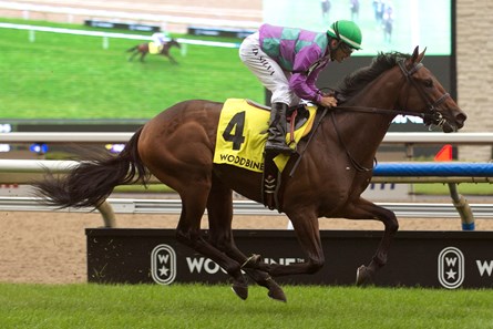 Avie's Flatter - Horse Profile - BloodHorse