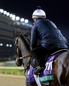 Robert Bruce (CHI) - Horse Profile - BloodHorse