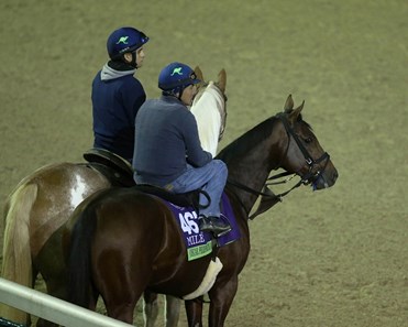 Oscar Performance - Horse Profile - BloodHorse