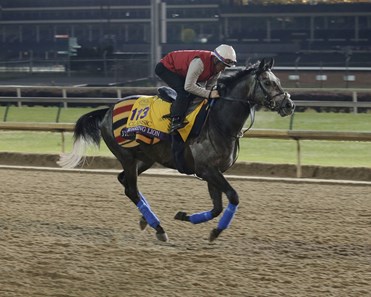 Roaring Lion - Horse Profile - BloodHorse