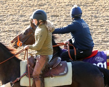 Arthur Kitt (GB) - Horse Profile - BloodHorse