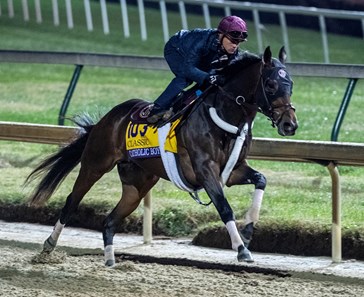 Catholic Boy - Horse Profile - BloodHorse