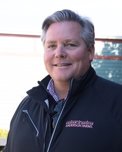 Loving Vindication - Horse Profile - BloodHorse