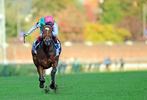 Enable Makes History With Brilliant BC Turf Win - BloodHorse