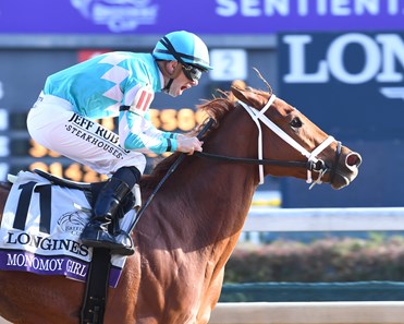 Monomoy Girl - Horse Profile - BloodHorse