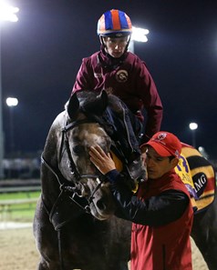 Roaring Lion - Horse Profile - BloodHorse